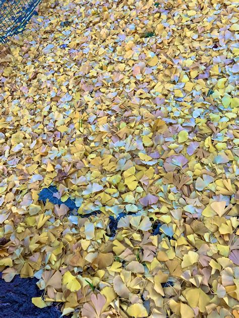 りなつ与野は黙らない rinatsu Twilog