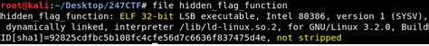 247ctf Hidden Flag Function Razvioverflow