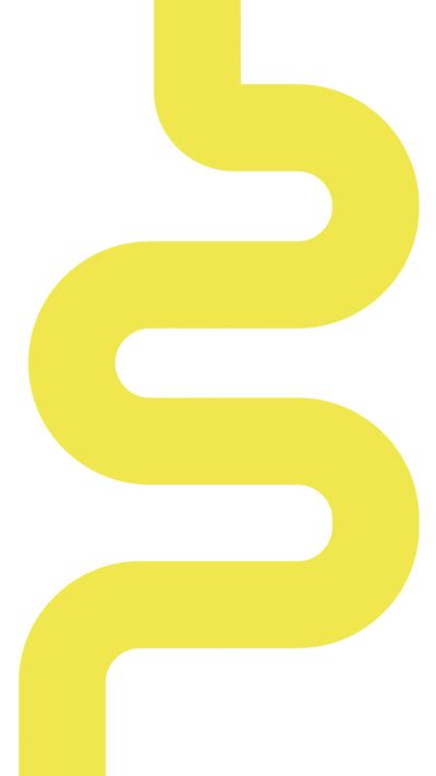 Services Holistic Collaborative