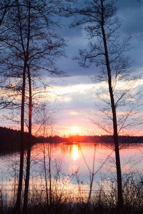 Free Images Beach Tree Water Nature Grass Outdoor Branch
