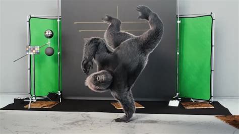 Do Realistic Cgi Animal Modeling 3d Rigging Xgen Fur Cgi Animal