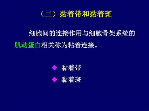 Ppt 第十五章 细胞社会的联系： Powerpoint Presentation Free Download Id4168831