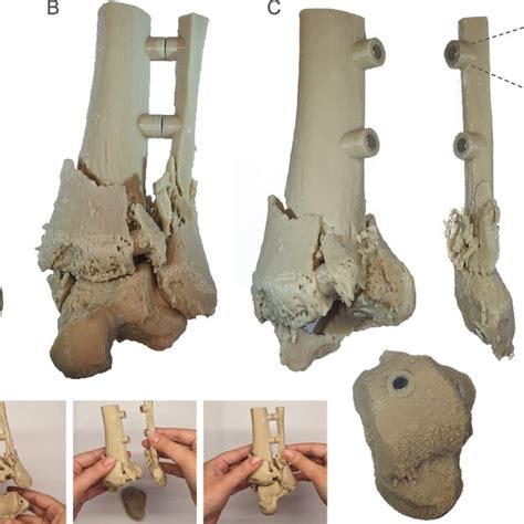 Application Of Magnetic Connection Struts To Create Separable Models A Download Scientific