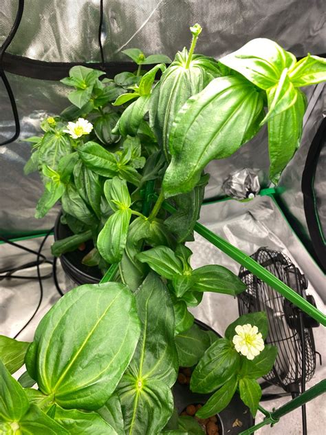 Robin Aspinwall Posted On Linkedin