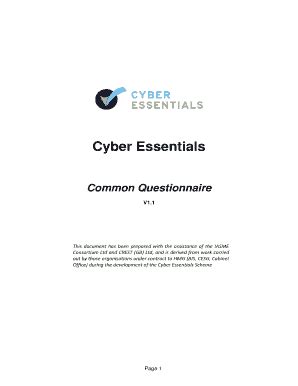 Fillable Online Cyber Essentials Fax Email Print PdfFiller