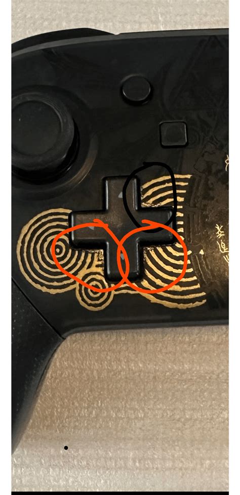 Fake Totk Controller Rtearsofthekingdom