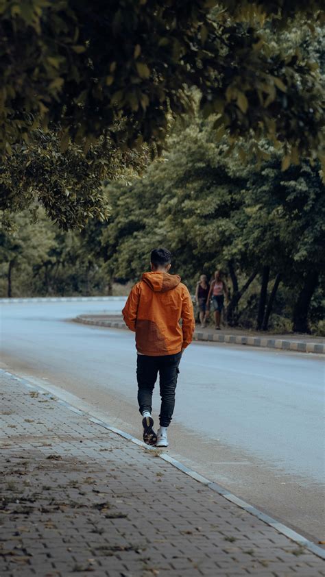 가을 가을 색 거리 걷고 있는 경치가 좋은 계절 고독 고요한 공원 도로 나무 나무가 늘어선 남자 낮 도로