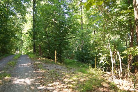 Gobbler Road Lot Wp001 Gerrardstown Wv 25420