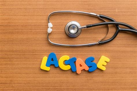 What is lactase persistence, and how did it evolve?