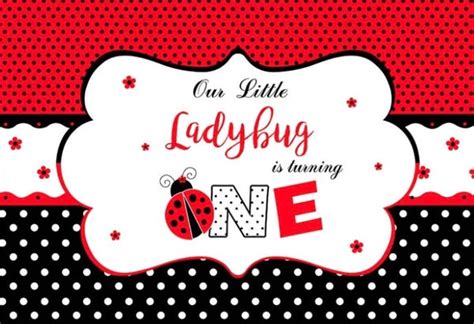 Ladybug Backdrop Handyandclassy