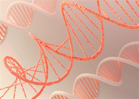Mesenchymal Stem Cell Derived Exosomes Biorestore Health