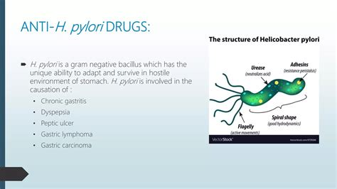 Antacids And Antiulcer Drugs Ppt