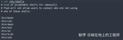 zsh 安装与配置 步打造高效命令行 知乎