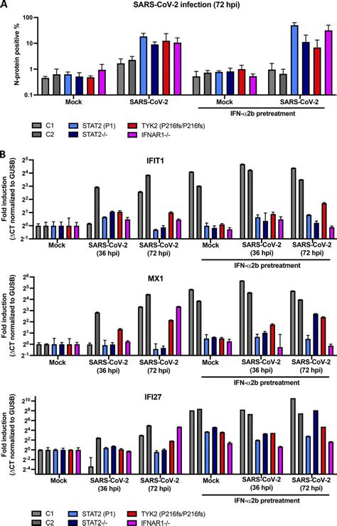 SARS CoV 2 Infection In Patient Cells A Patient SV40 Fibroblasts