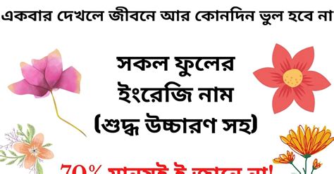 সব ফুলের ইংরেজি নাম All Flowers Name In English And Bengali