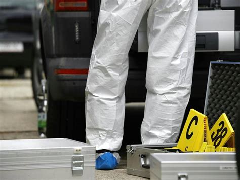 Toter In Wien Wurde Offenbar Erschlagen SN At