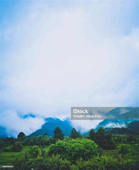 사진 아름 다운 묘사 안개 신비 산 소나무에 안개 구름 나무 신비로운 숲 아침 신비한 숲 풍경입니다 감정에 대한 스톡 사진 및