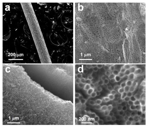 Characterization Of Surface Topography A Fesem Image Of An Anodized