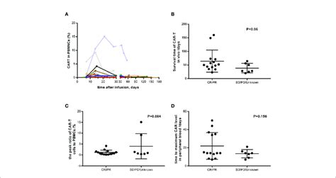 Car T Cell Expansion In Vivo And Its Relation With Response A