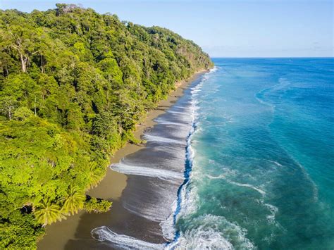 Wildlife Adventure On Costa Ricas Osa Peninsula 5 Days Kimkim