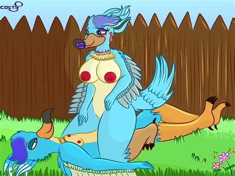 Rule 34 Absurd Res Alfie Magpie Anthro Avian Backyard Big Breasts Bird Blitz Games Breasts