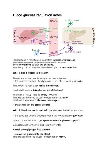 Aqa Blood Glucose Regulation Tuition Worksheet Gcse 9 1 Biology