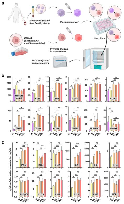 Monocyte Surface Marker Expression And Cytokine Release Profiles In Gbm