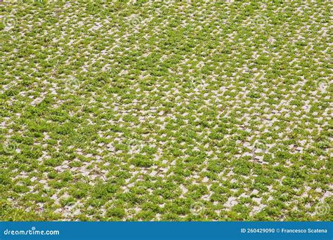 Grey Concrete Flooring Blocks Assembled On A Substrate Of Sand With