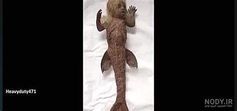 عکس پری دریایی واقعی و ترسناک عکس نودی
