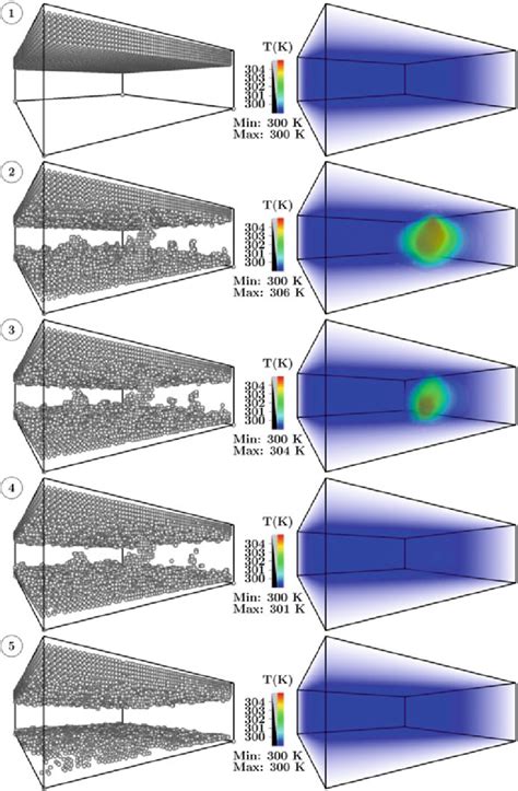 Status Of Ecm Cell Shown For The Five Marked Instances Of Time From