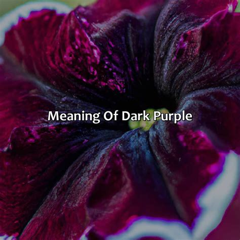 What Does The Color Dark Purple Mean