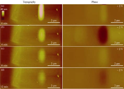 Electrostatic Force Microscopy Efm Was Used To Probe The Charge And Download Scientific