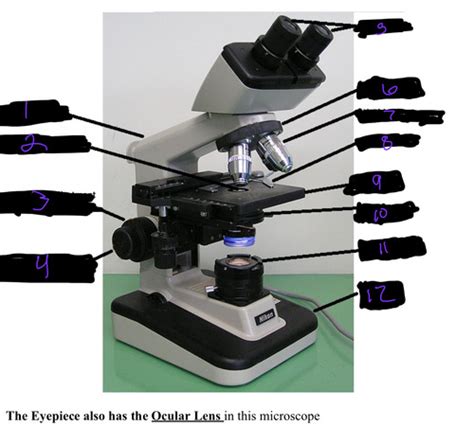 Lab Practical 1 Microscope Flashcards Quizlet