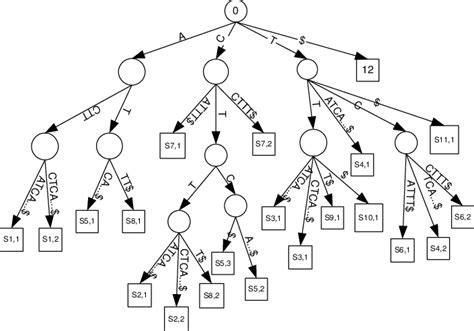a weighted suffix tree example download scientific diagram