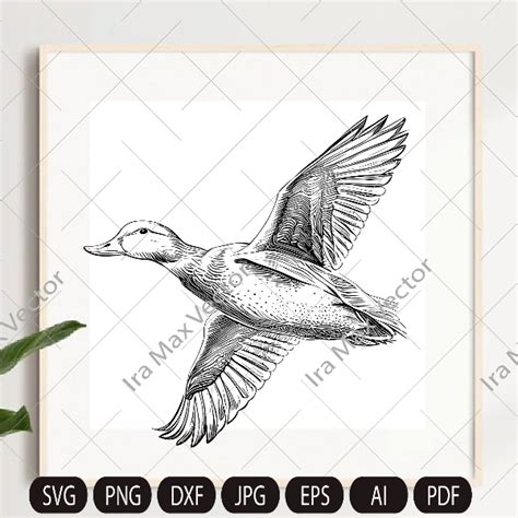Duck Svg Duck Flying Svg Duck Clipart Duck Png Duck Head Inspire