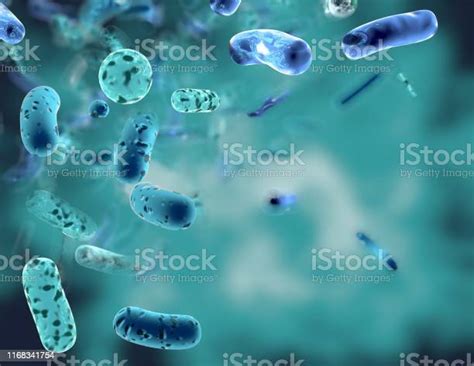 박테리아 미생물 복사 공간이있는 3d 그림이있는 의료 배경 프로바이오틱에 대한 스톡 사진 및 기타 이미지 프로바이오틱 박테리아 창자 Istock