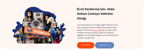 Sql Eğitimi Kaliteli Ve Staj Destekli Sql Kursu By