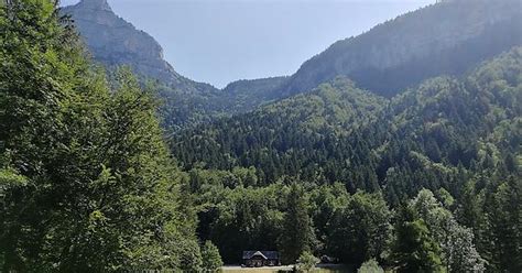 Chartreuse Album On Imgur