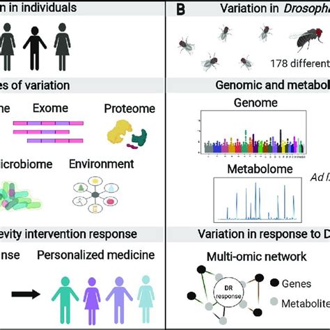 Multi Omics Network Based Approach Towards Precision Geroscience A