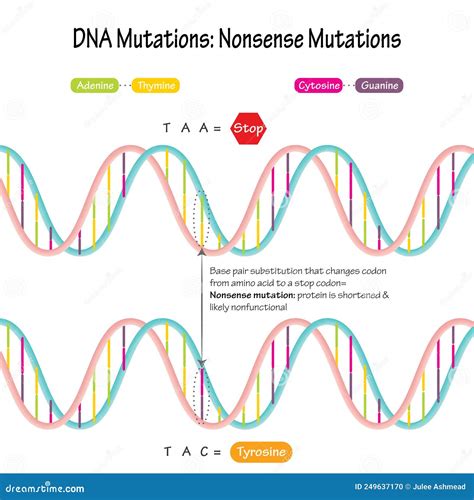 Flow Diagram Of Mutation Flowchart Illustrating The Process