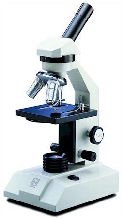 A Light Compound Microscope