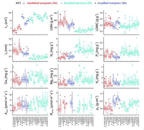 Mean Trait Values For The 24 Dominant Species Of The Medit Plot