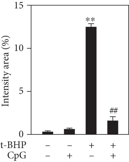 the protective effect of cpg odn in response to t bhp induced oxidative
