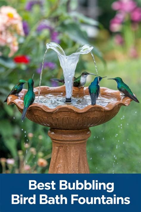 6 Best Bubbling Bird Bath Fountains That Will Bring Beauty To Your Garden