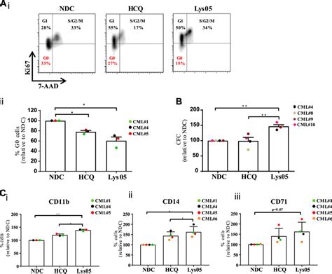 In Vitro Effects Of Autophagy Inhibition On Cell Cycle And