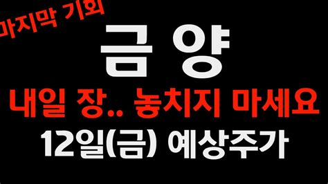 금양 주가 금예상주가 주무시기 전에 꼭 보세요 박순혁추천주김작가tv서정덕tv금양금양주식전망금양주가전망금양주가금양전망금양주식금양분석금양목표가2차
