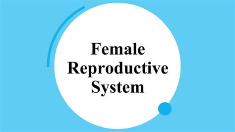 Female Reproductive System Powerpoint Presentation Pptx