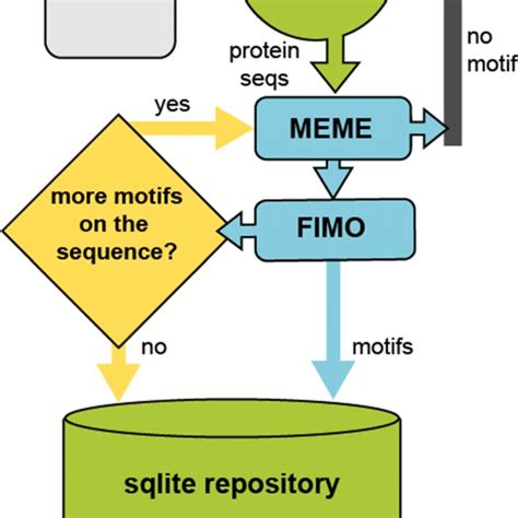 The Workflow Of De Novo Motif Discovery Approach All Figfams Families