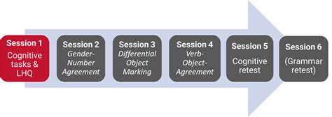 Starting From The Very Beginning Unraveling Third Language L3