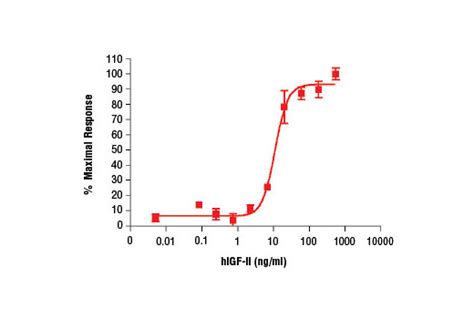 Human Insulin Like Growth Factor Ii Higf Ii Cell Signaling Technology